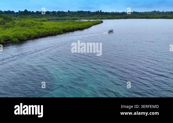 Tour boat cruising through mangrove waterway, Bocas del Toro, Panama ...