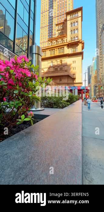 New York, USA, 22 May 2026: Flower Planters Along Midtown Manhattan ...