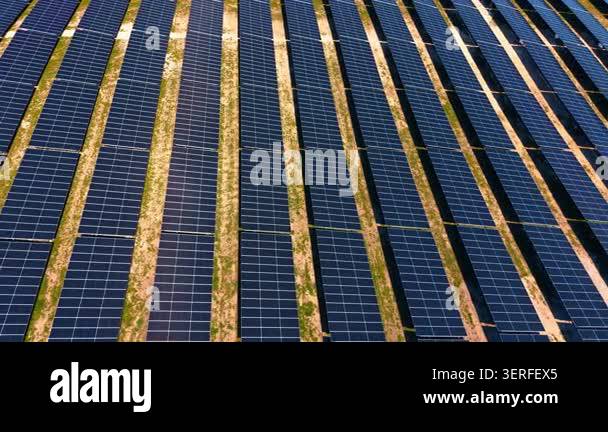 Multiple rows of the modern solar panels accumulating sun energy. Green ...