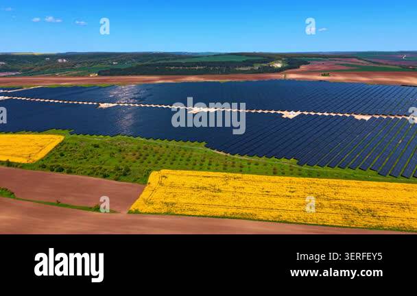 Solar farm framed by rapeseed and farmland. Dark arrays on green ...