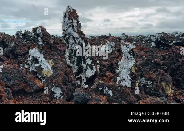 Volcanic lava rock formations with lichen, Las Tintoreras, Galapagos ...