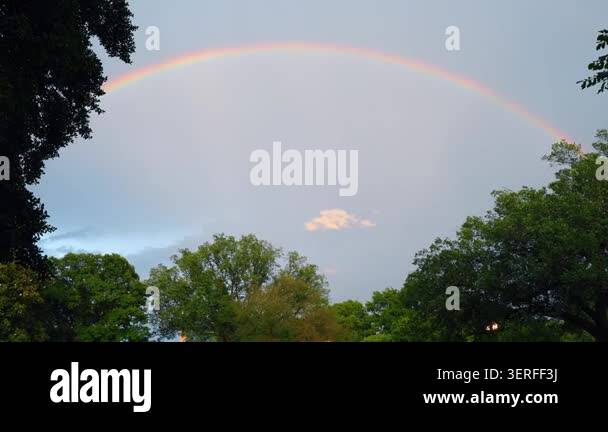 Amazing bright rainbow over the green trees. Low angle view at the blue ...