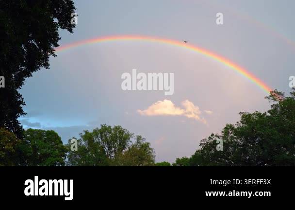 Beautiful blue sky with a gaudy rainbow. Green trees around. Birds fly ...