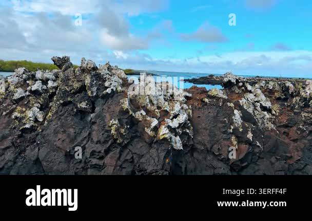 Coastal lava formations with ocean view, Las Tintoreras, Galapagos ...