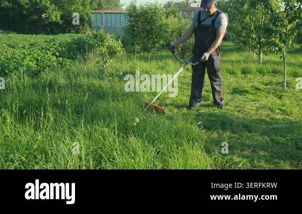 Worker in work attire operates a grass trimmer to maintain the garden ...