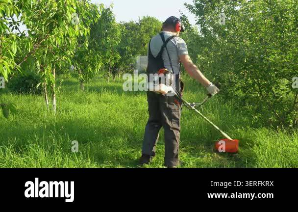Man in gray shirt and safety gear operates a string trimmer to maintain ...