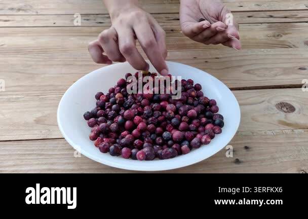 Person sorting fresh falsa berries by hand from white plate on table ...