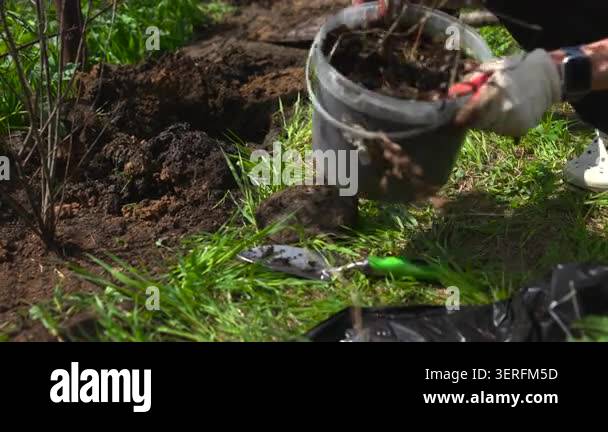 A person wearing gloves crouches beside a grassy garden bed, placing a ...
