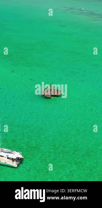 Aerial view of boats and catamarans with tourists and a passing ...