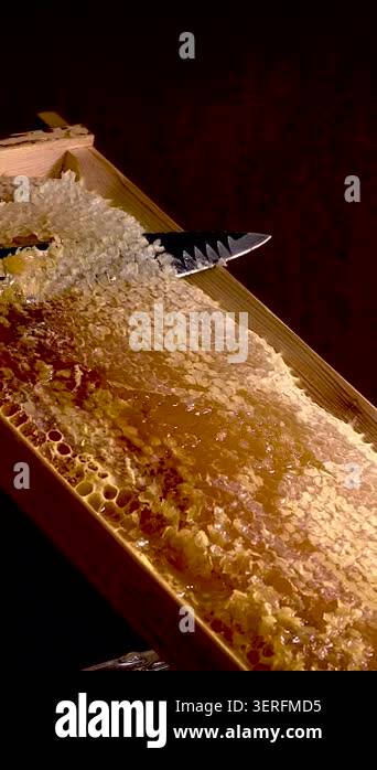 Fresh honeycomb frame with uncapping process during beekeeping harvest ...