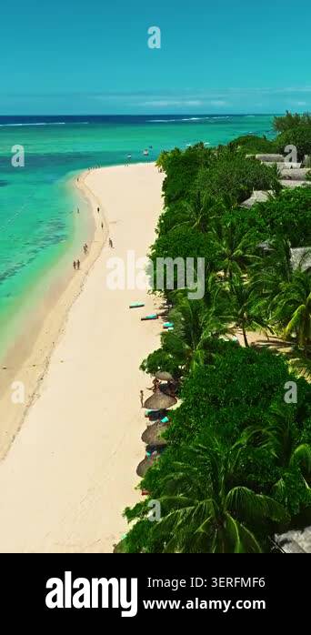 Aerial view of crystal water on the seashore, Mauritius with palm trees ...