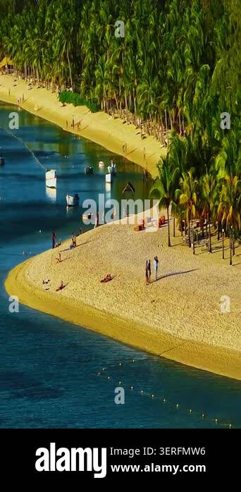 Aerial view of crystal water on the seashore, Mauritius with palm trees ...