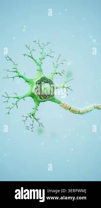 Vertical video showing detailed 3D animation of a neuron cell with ...