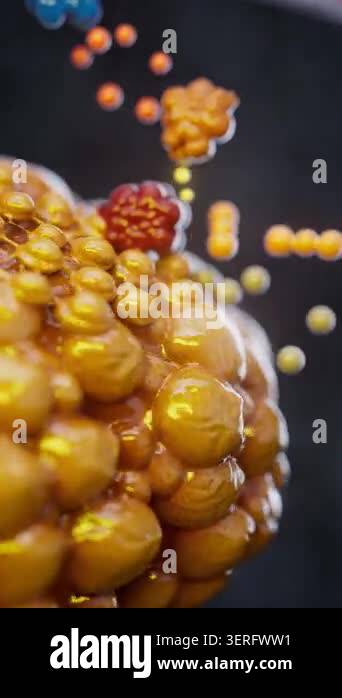 Close-up 3D animation of molecules interacting with a fat cell, showing ...