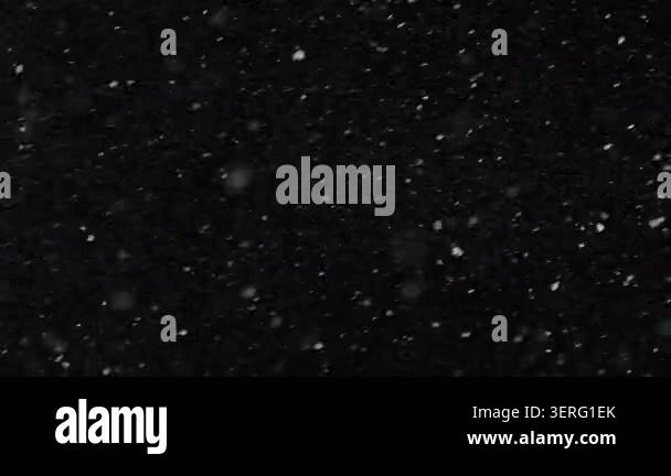 Falling snow with realistic white storm. Falling snow on black layer ...