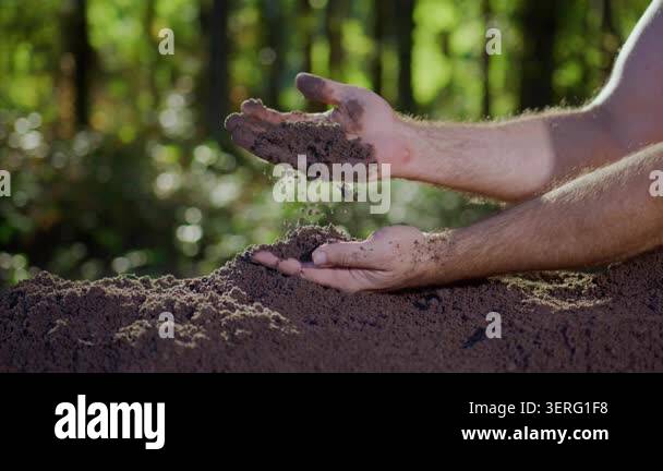 Soil for planting. Hands holding soil, environment concept. Ground and ...