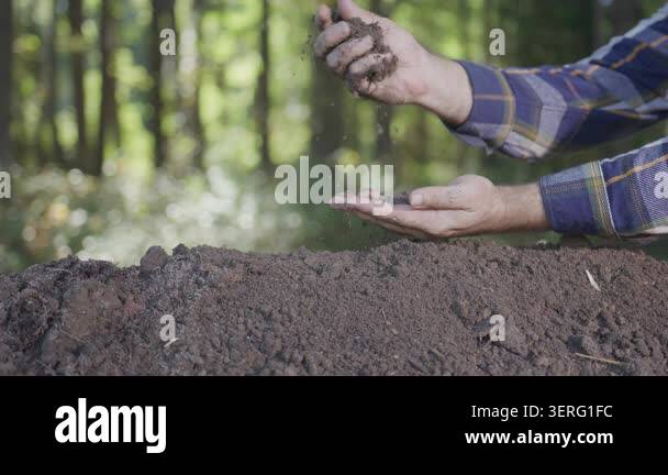 Earth day. Soil in hand. Ecology environment. Save earth, environmental ...