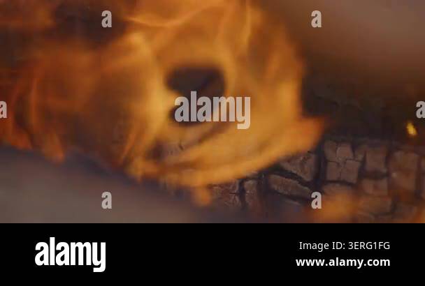 Close up view of bright orange flames curling above a dark burning ...