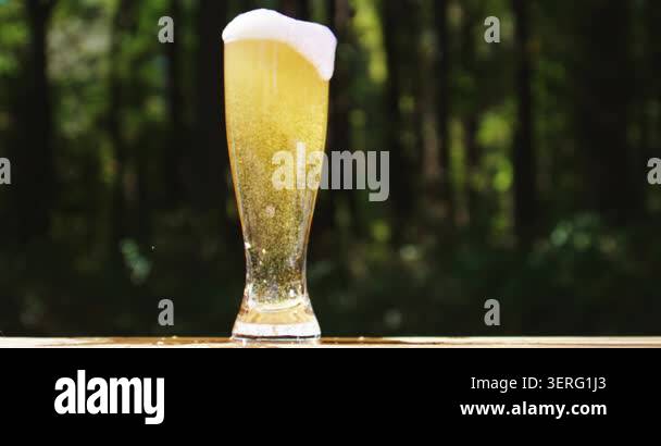 Golden craft beer poured on green outdoors. Lager beer with foam in ...