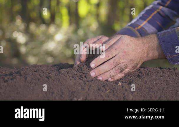 Natural earth in human hands. Gardening and ecology. Hands holding soil ...