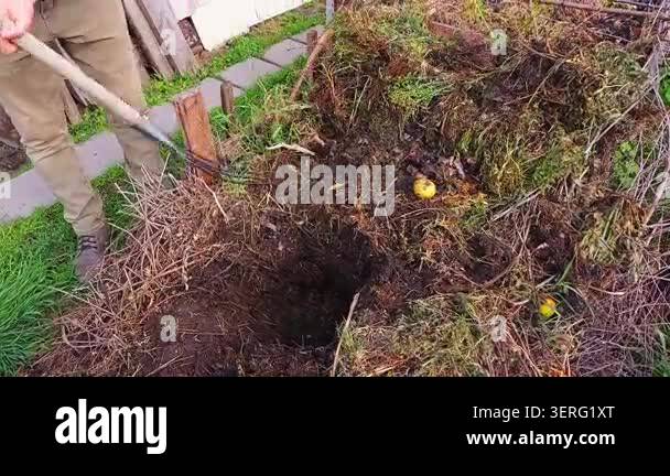 A person uses a pitchfork to aerate and mix organic materials in a ...