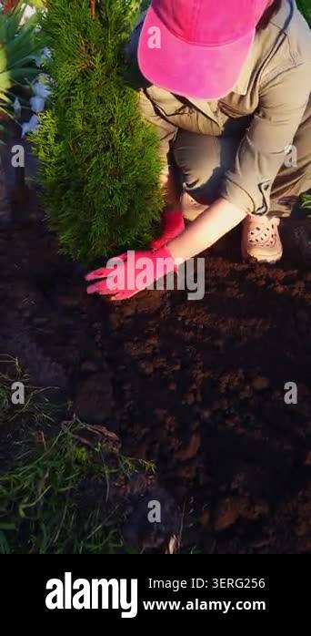 A person wearing gloves and a pink cap carefully places a young ...