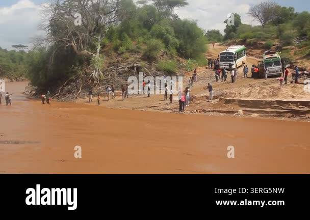 People wading through muddy river water near buses and a dirt road in a ...