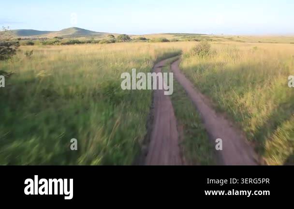 Tracking shot following a dirt road through tall grass in a savanna ...