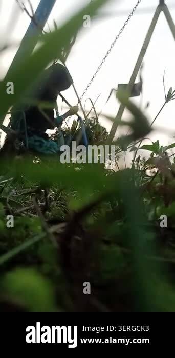 A creative, low-angle shot through grass of a person playing on a swing ...