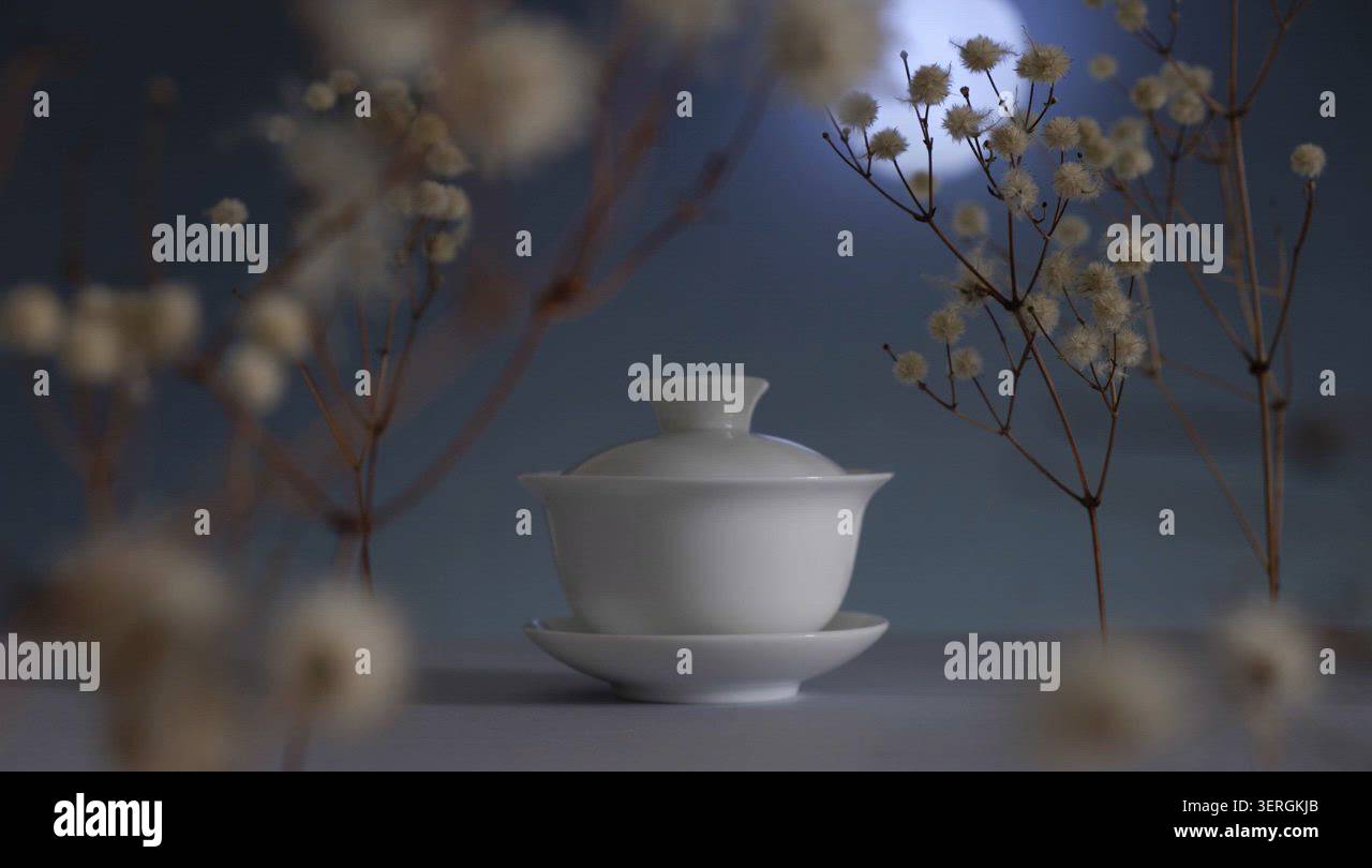 Stop-motion animation of a ceramic gaiwan boiling in a moonlit forest ...