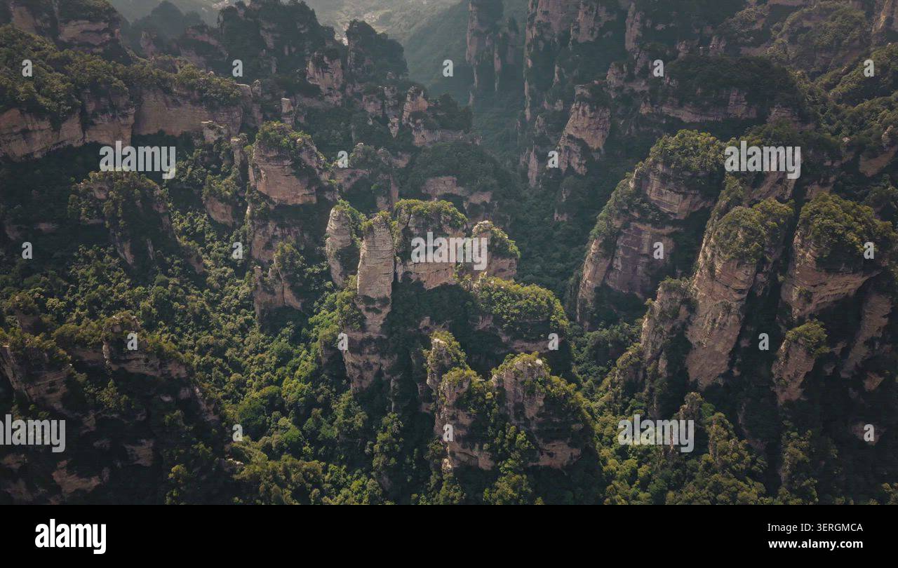 Drone tilt-up reveal of Zhangjiajie Stone Forest landscape Stock Video ...