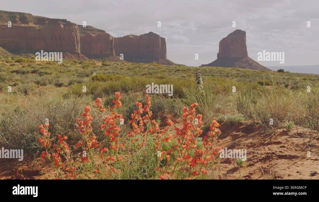 Sunset Monument Valley Arizona desert Landscape Video Stock Video ...