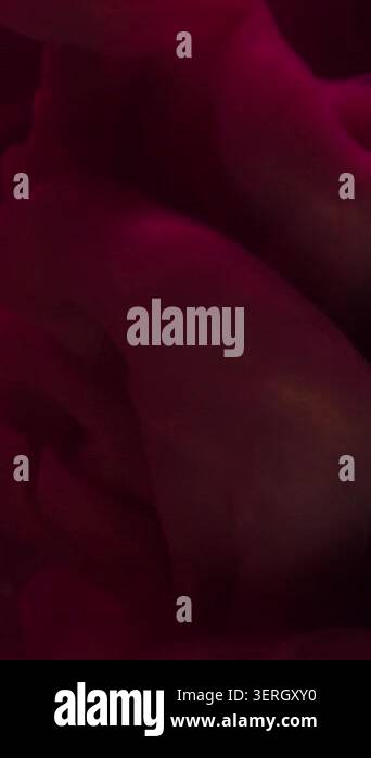 Vertical video. Red vapor. Ink background. Defocused vibrant color ...