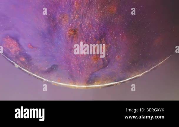 Shimmer paint. Glitter flow. Defocused purple orange neon color ...
