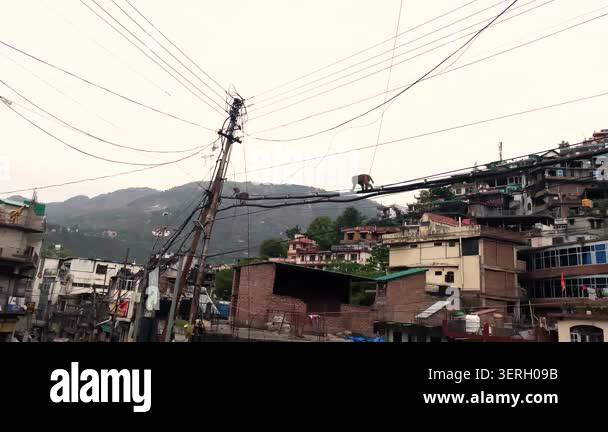 group of monkies walking on wire along with their family near mandi ...