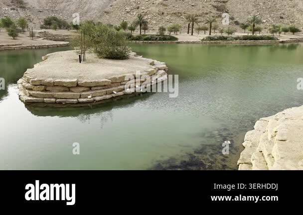 Scenic oasis wadi hanifa park with a small stone island and ducks in ...