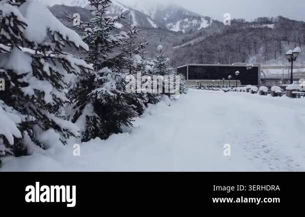 winter landscape with snow covered trees Stock Video Footage - Alamy