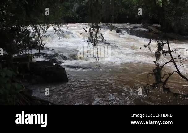 Fast flowing river water cascades over rocks in a lush green forest ...