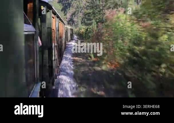 View from train window traveling through forest with trees and foliage ...