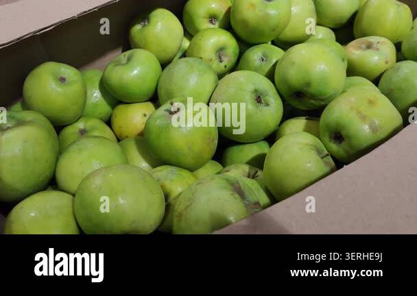 Green Apples in Cardboard Box Stock Video Footage - Alamy