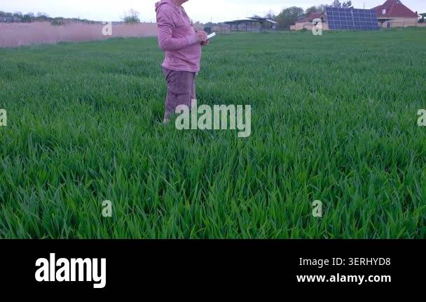 young man farmer in a wheat field Stock Video Footage - Alamy