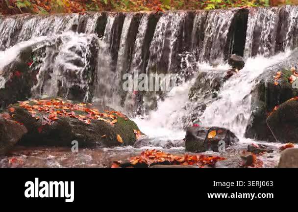 Beautiful Waterfall Shipot in the autumn forest of the Carpathian ...