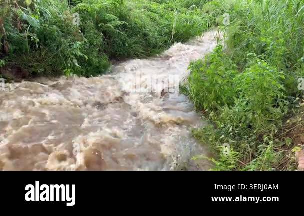 Muddy flash flood rushing intensely through a narrow natural stream ...