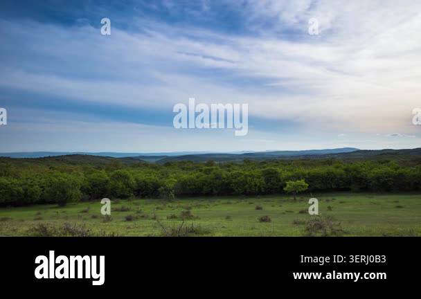 Wasteland with dry small wild bushes and withered grass in front of a ...