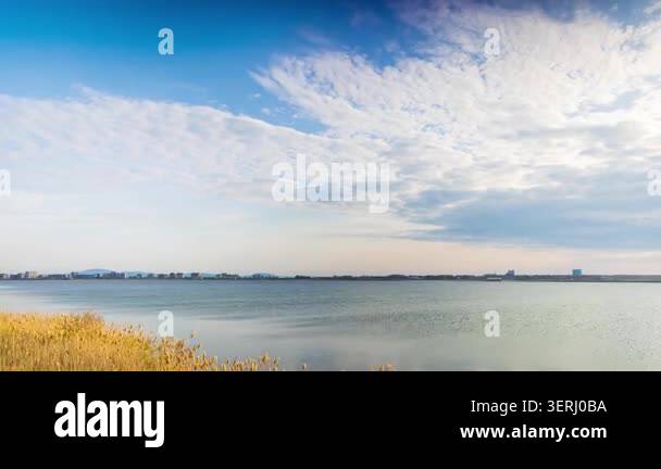 A light wind shakes dry reeds and makes ripples on a small bay of a ...