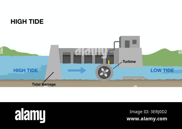 Animation of Educational science infographic diagram of tidal energy ...