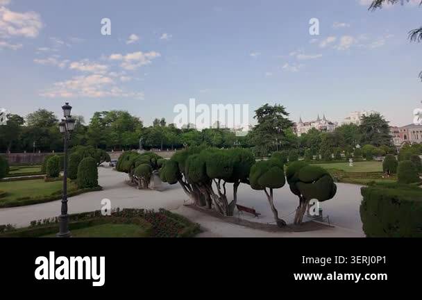 Parterre Park with unique and special trees in the Retiro Park in ...
