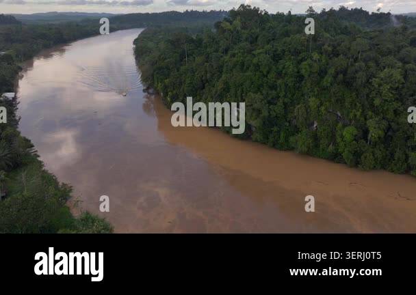 Aerial Shot of WIde Brown river Kinabatangan, a living corridor of ...