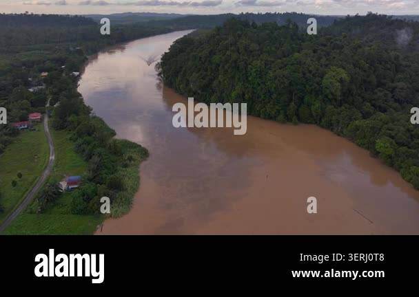 Aerial Shot of WIde Brown river Kinabatangan, a living corridor of ...