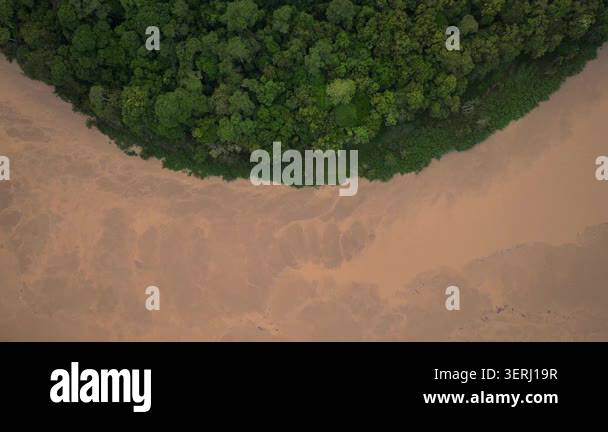 Aerial Shot of WIde Brown river Kinabatangan, a living corridor of ...